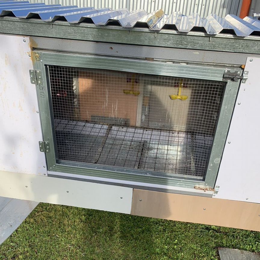 Брудер для цыплят