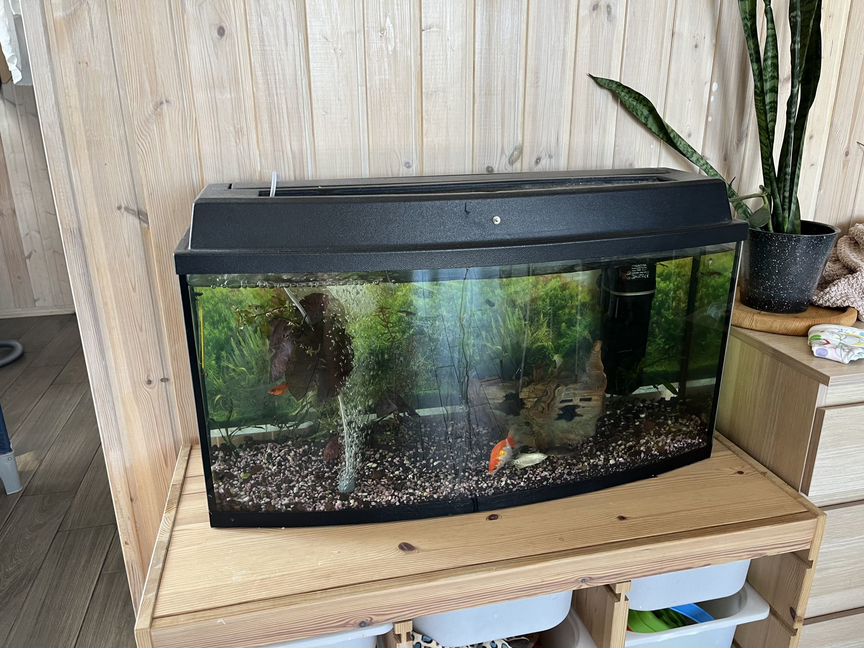 Аквариум 80 литров под ключ