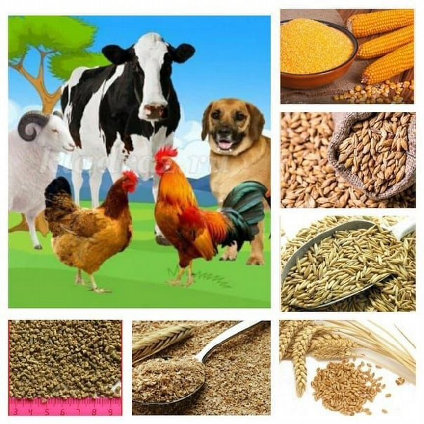 Корма добавки