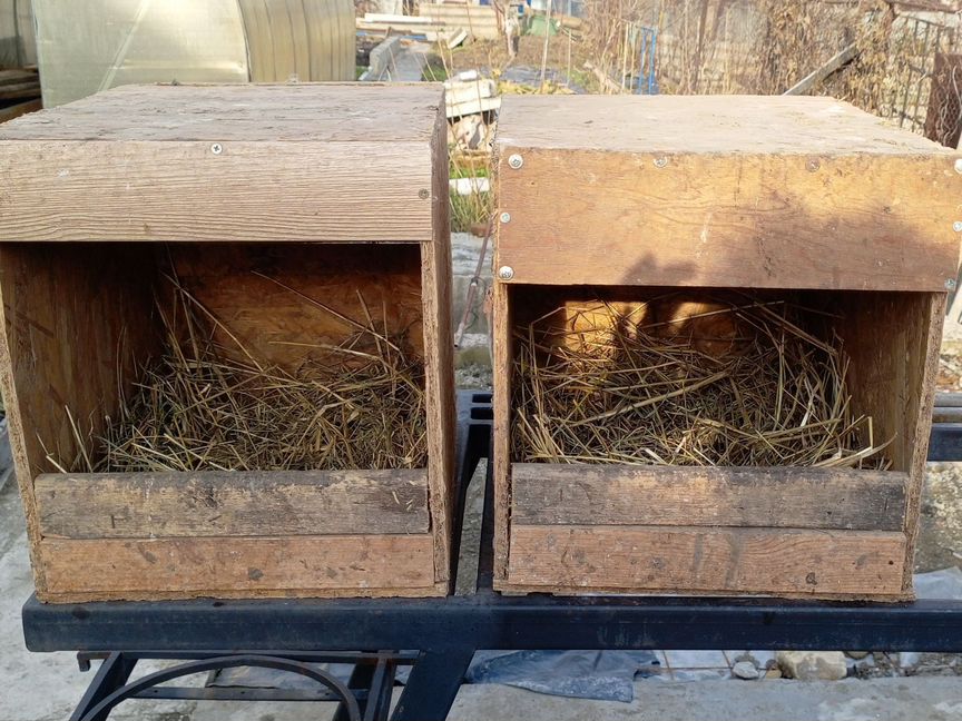 Гнезда для кур