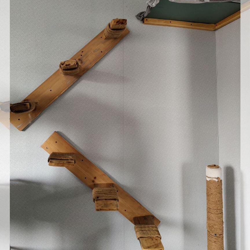 Лесенка для кошек на стену