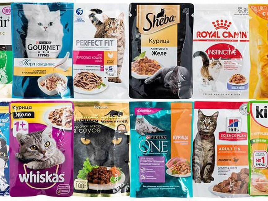 Влажные корма для ваших котиков