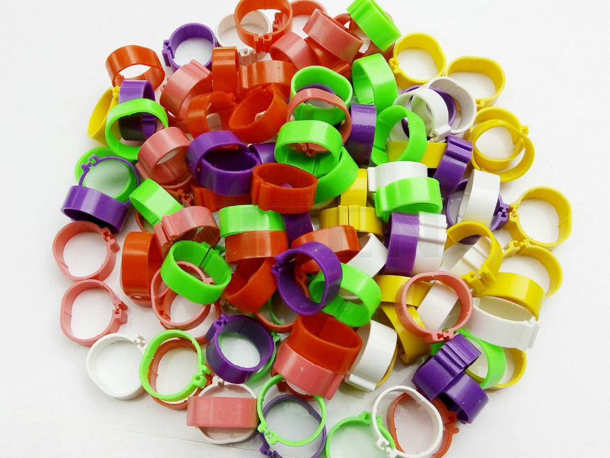 Кольцо для маркировки птиц (14 мм, разного цвета)