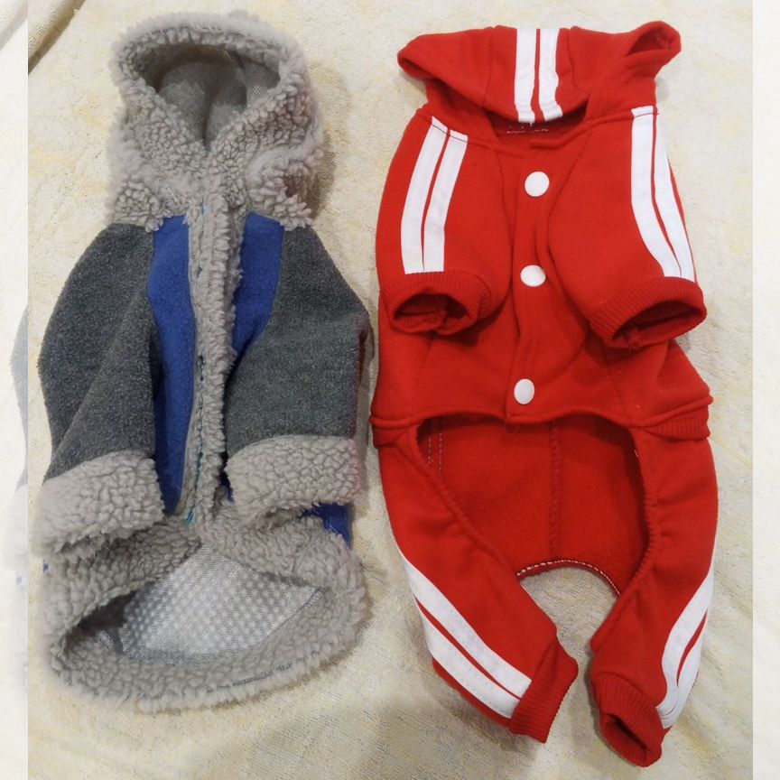 Одежда для маленьких пород