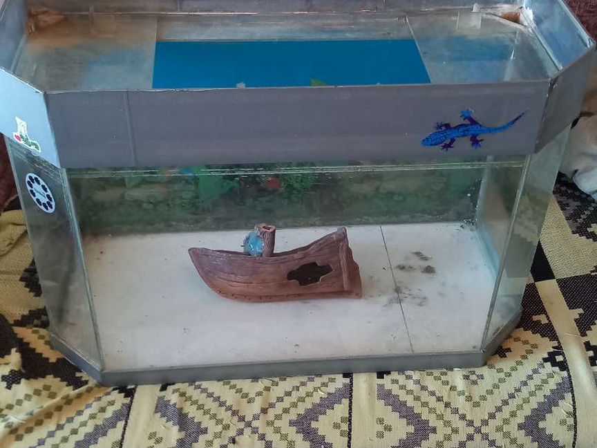 Аквариум 65 литров