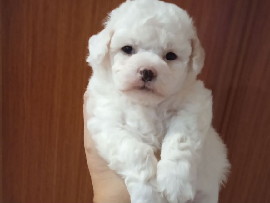 Милый малыш