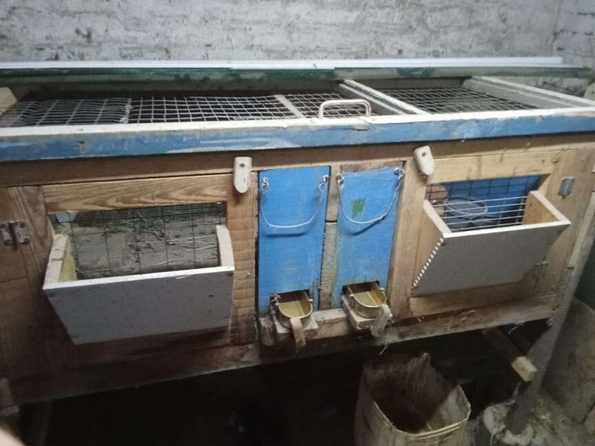 Крольчатники