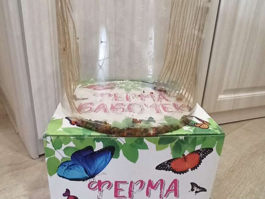 Ферма для бабочек (без бабочек)