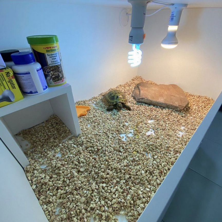 Террариум для черепахи