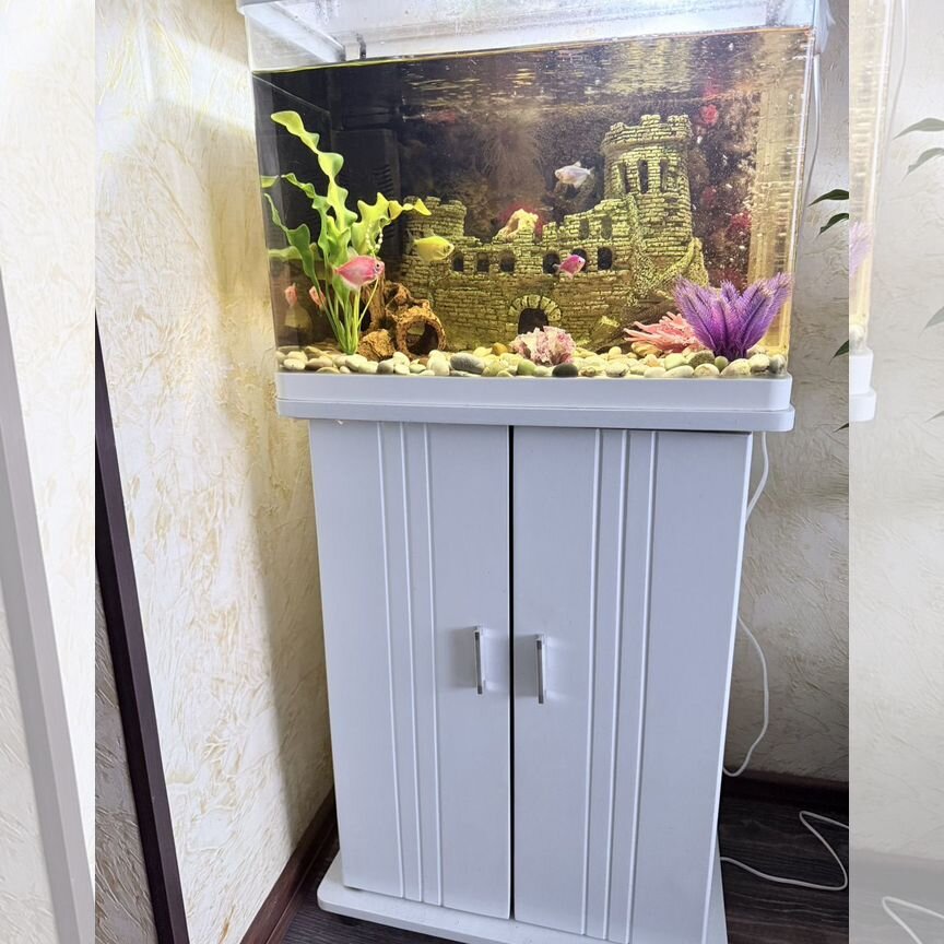 Аквариум с рыбками