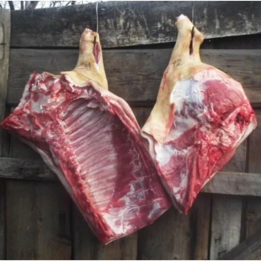 Мясо для собак