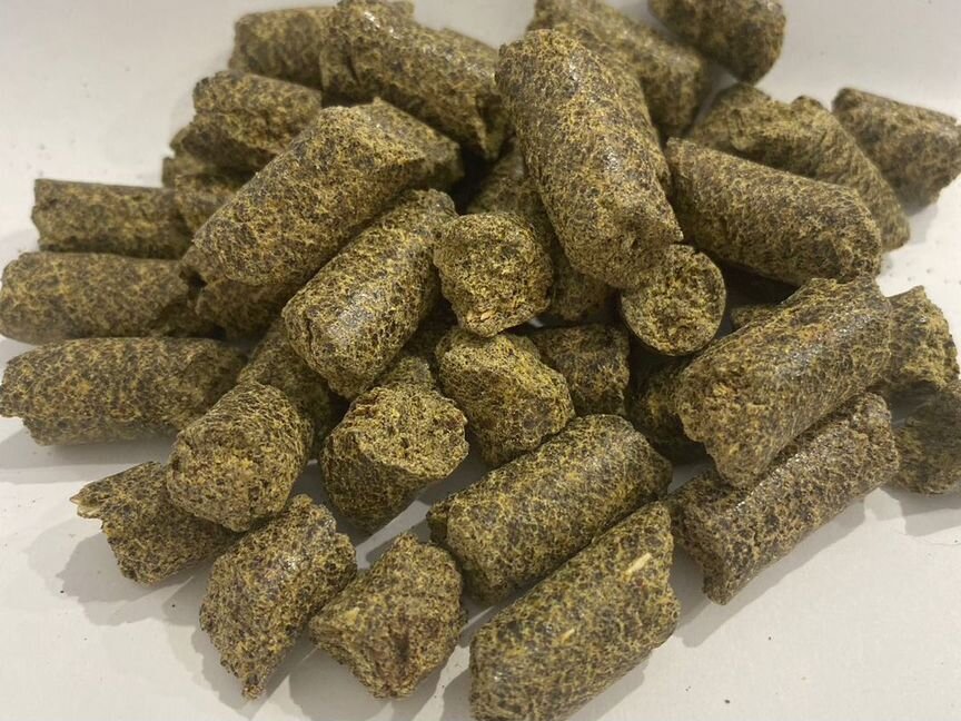 Жмых рапсовый