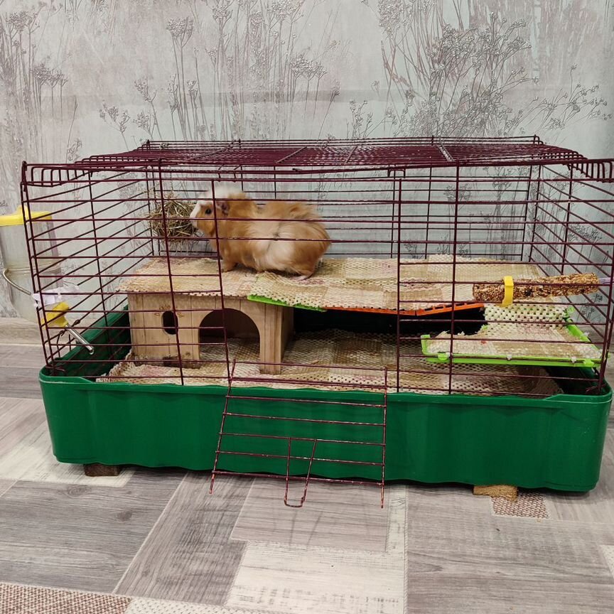 Продам клетку для кроликов, морской свинки