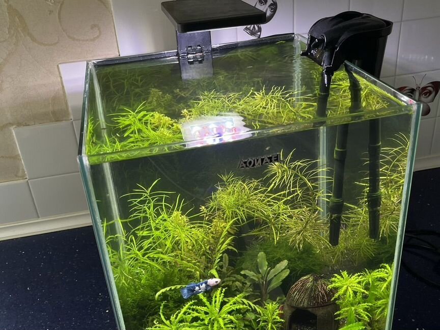 Аквариум aquael 30 литров набор