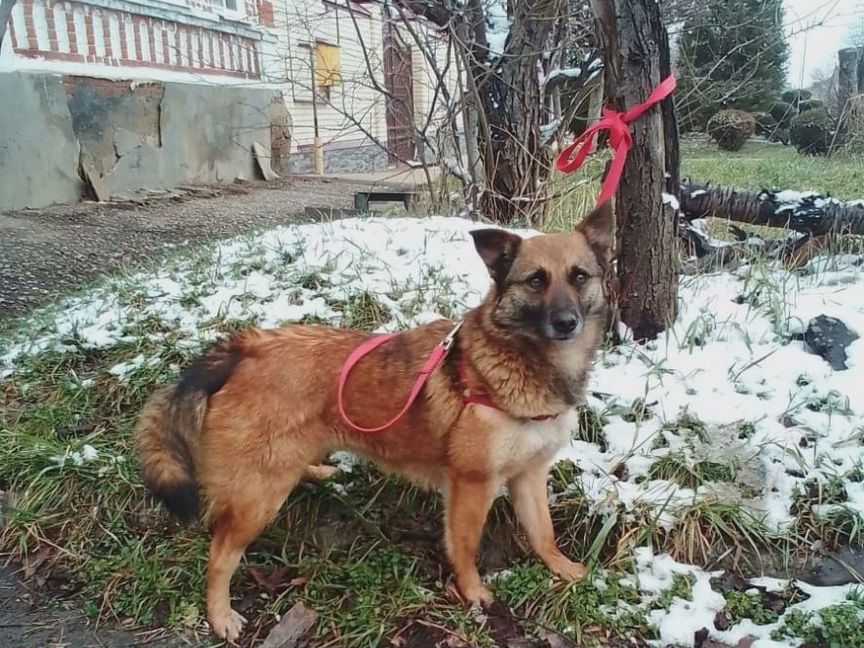 Тея ищет дом
