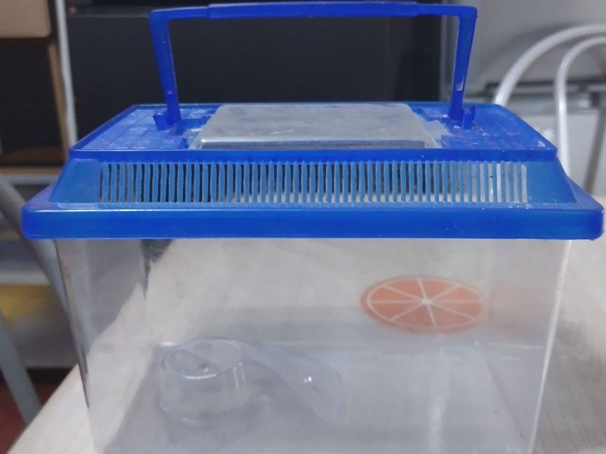 Террариум для черепашки и улитки