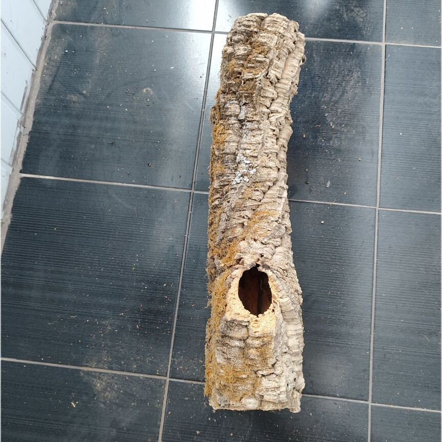 Коряги и кора дуба для террариума