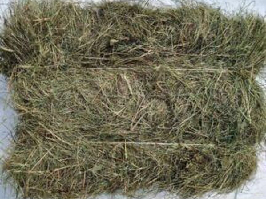 Сено в тюках и зерно