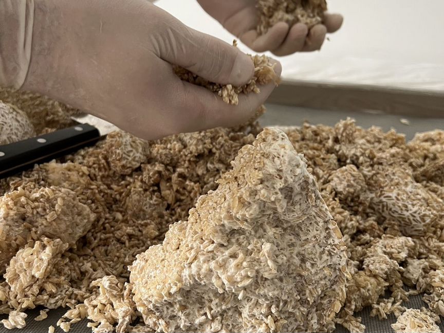 Зерносмесь дробленая на рисе и ржи