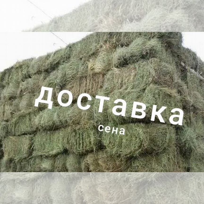 Сено с доставкой