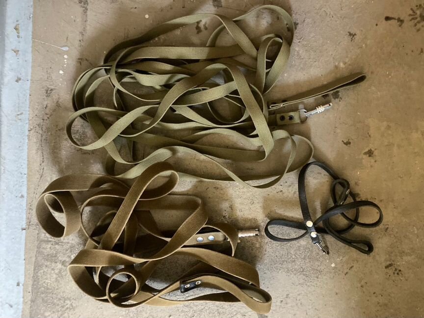 Поводки для собак