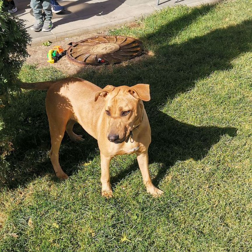 Кто потерял" девочку"