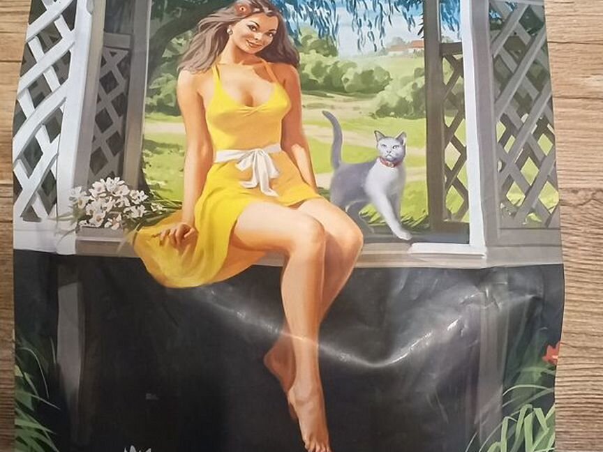 Сухой корм для кошек Brooksfield Adult 2кг