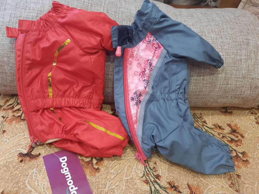 Комбезы для маленькой собачки