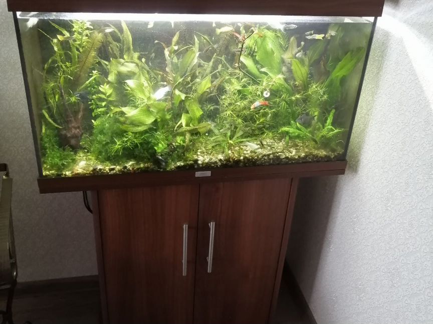 Аквариум Juwel