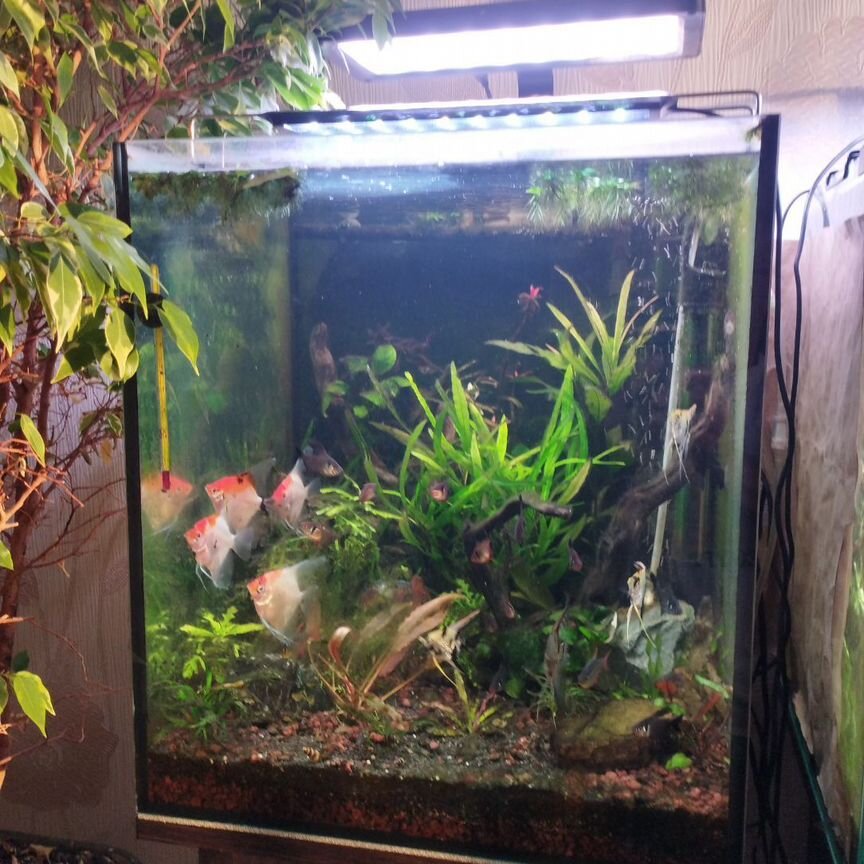 Аквариум с тумбой и светом 2шт