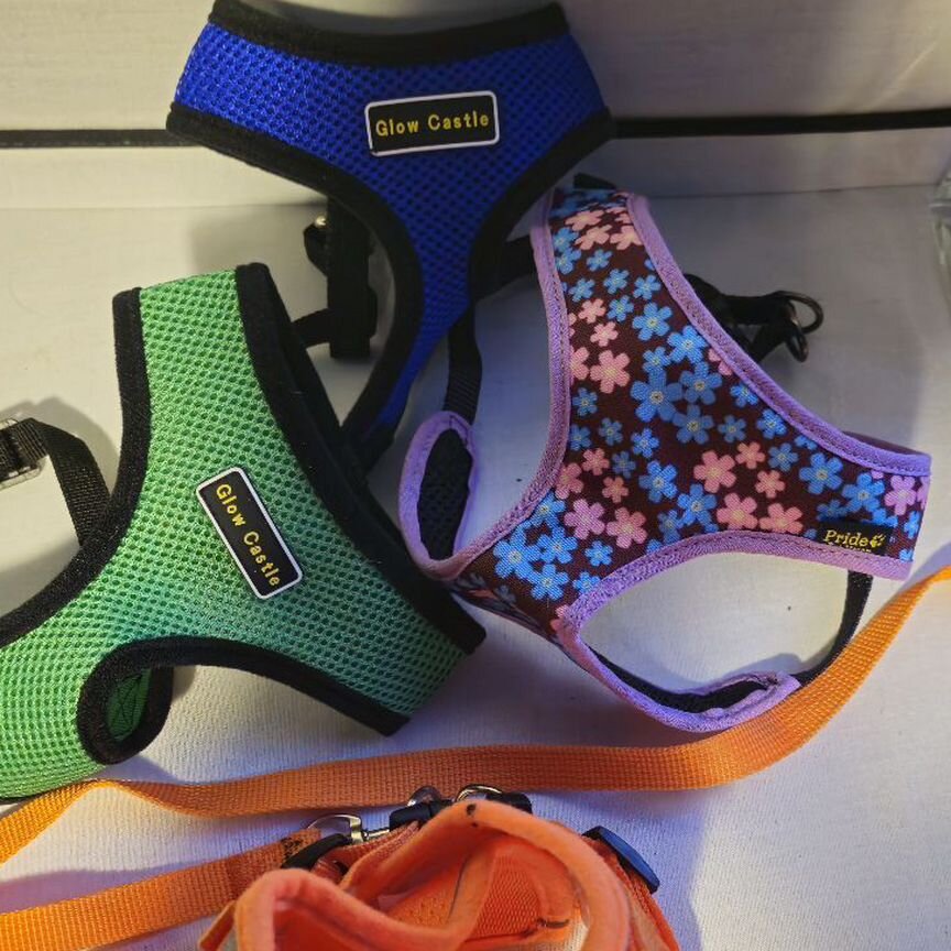 Шлейки для собак маленьких и средних пород