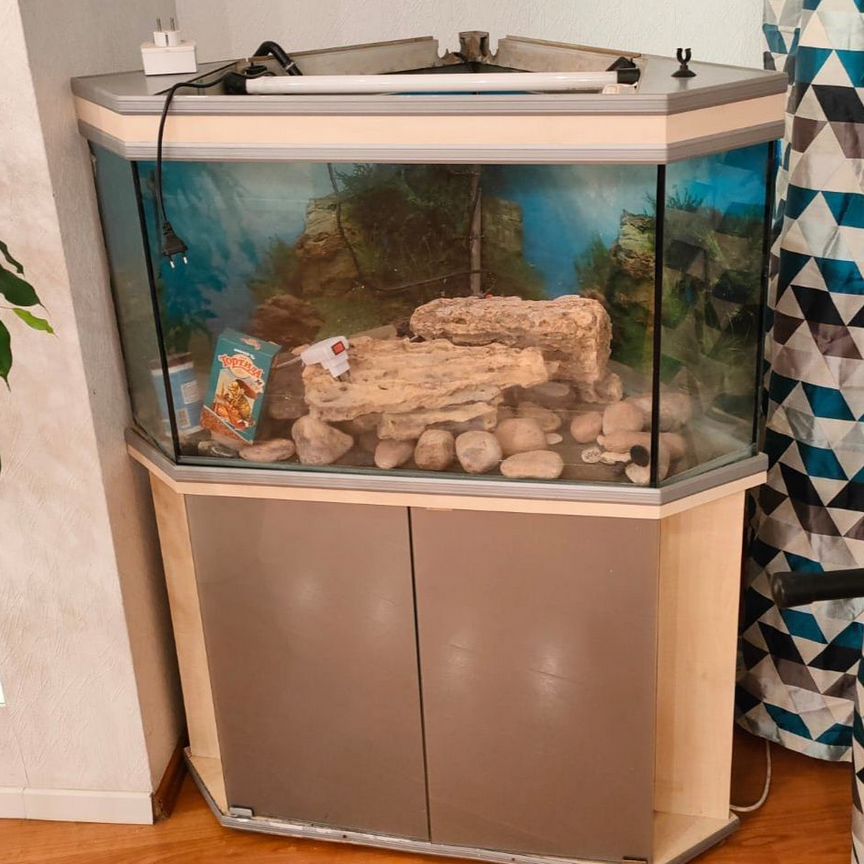 Аквариум акватеррариум с тумбой и внешним фильтром