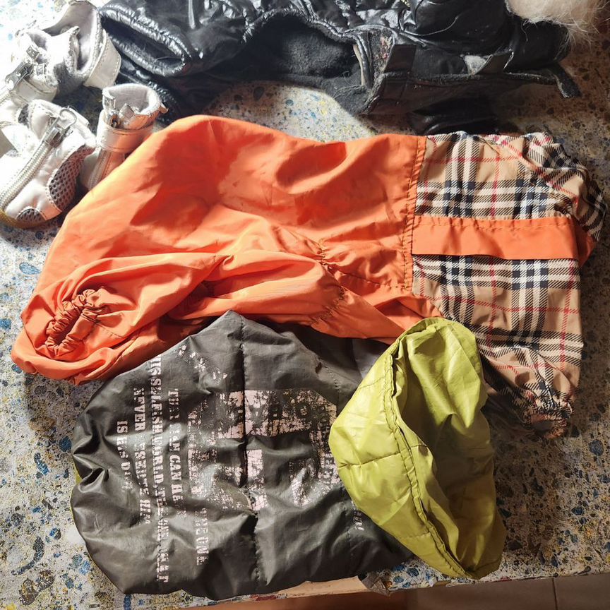 Одежда для собак