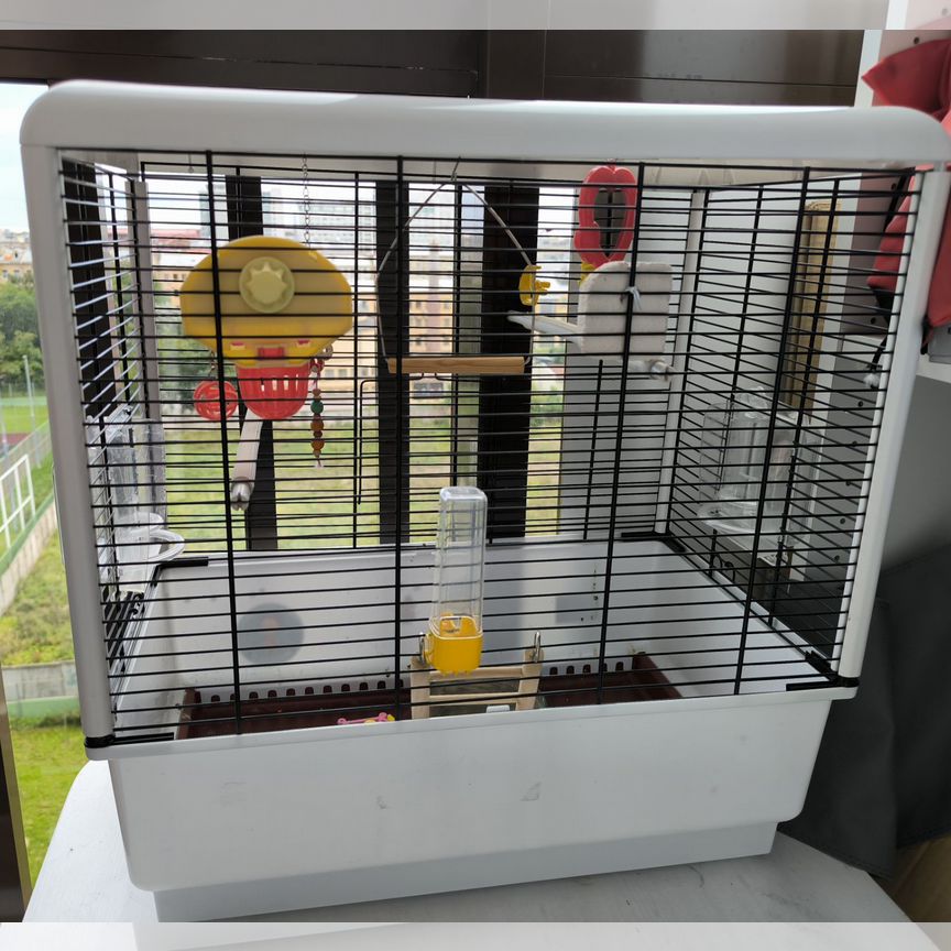 Клетка для попугая