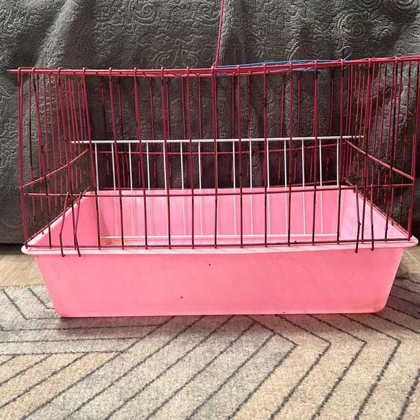 Клетка для морской свинки