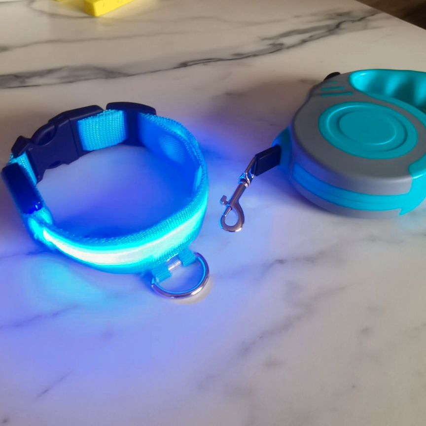 Ошейник для собак и поводок рулетка