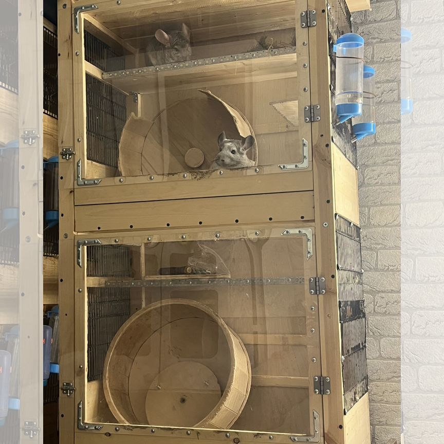 Витрина для шиншилл 180 см