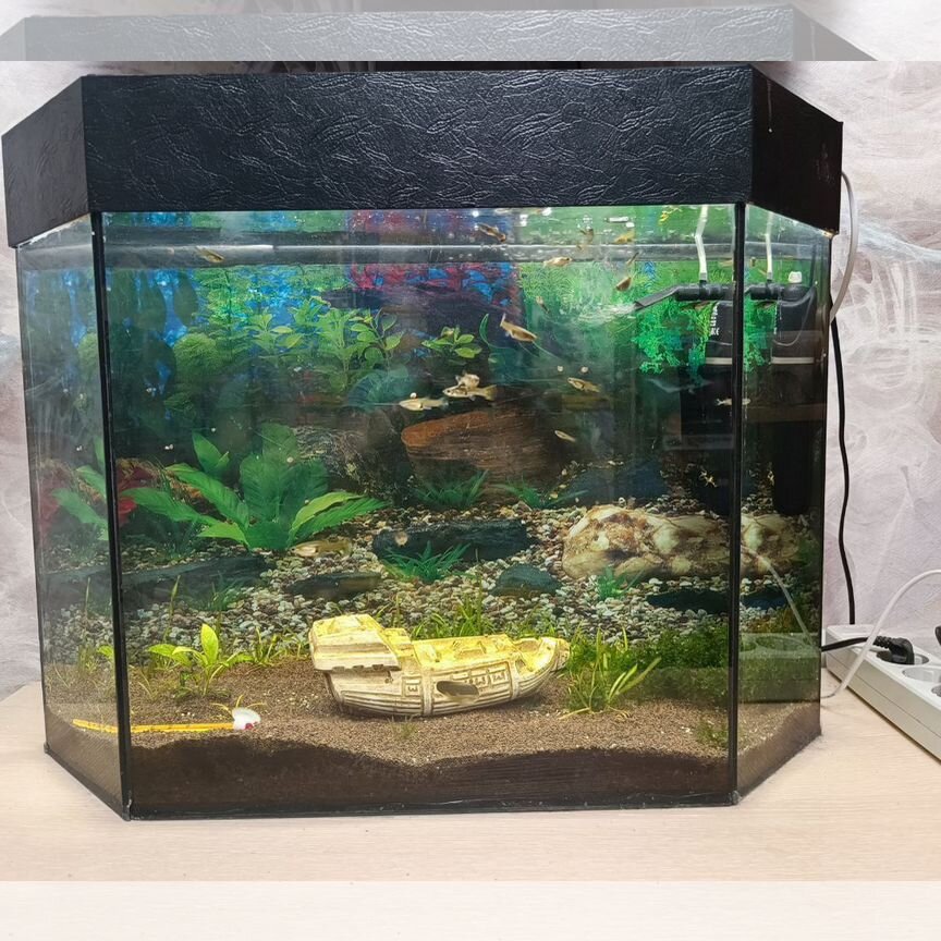 Аквариум 50 литров