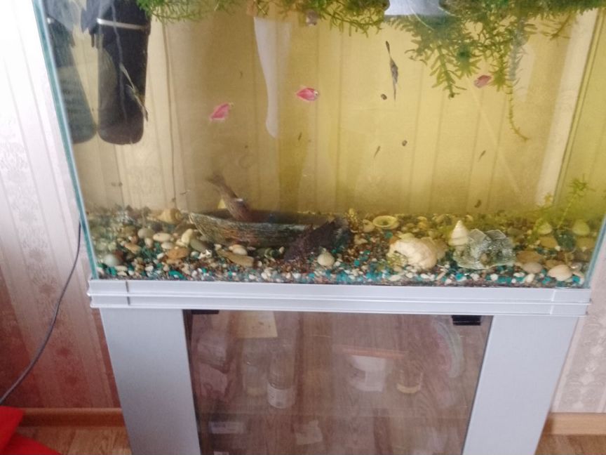 Аквариум с тумбой
