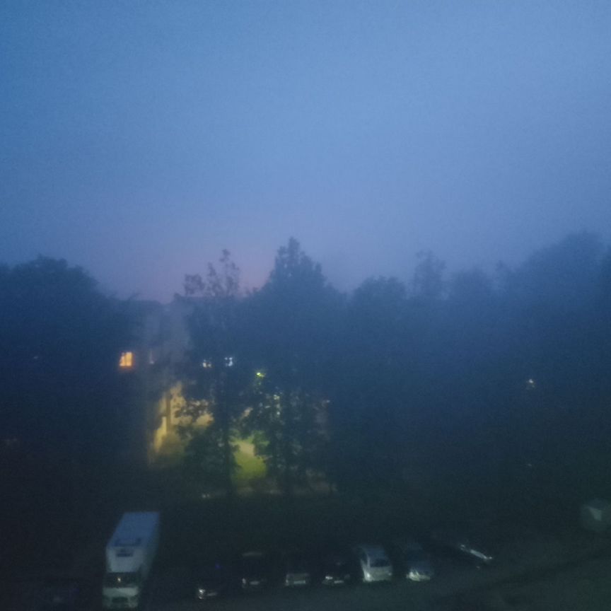 Щенки