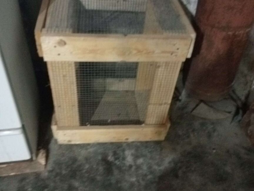 Клетка для домашних крыс большого размера