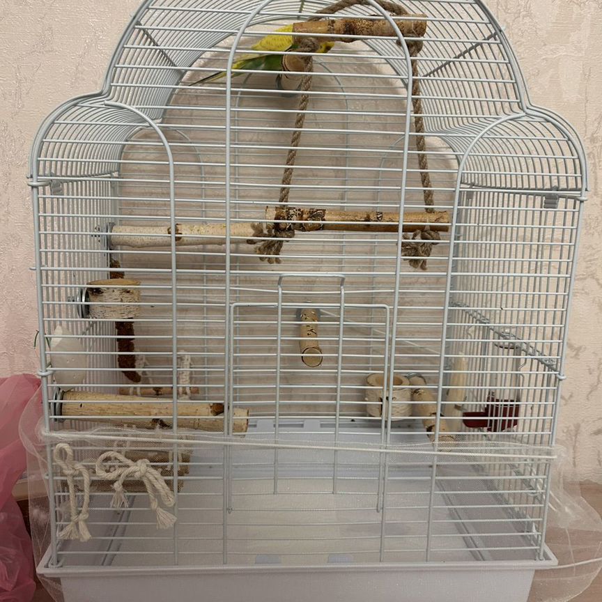 Клетка для попугая