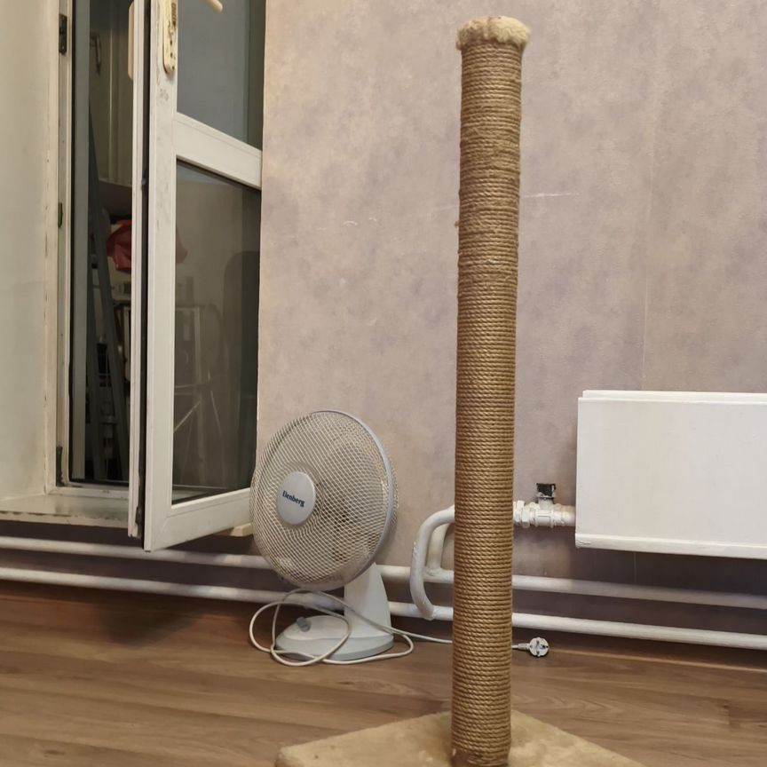 Когтеточка большая