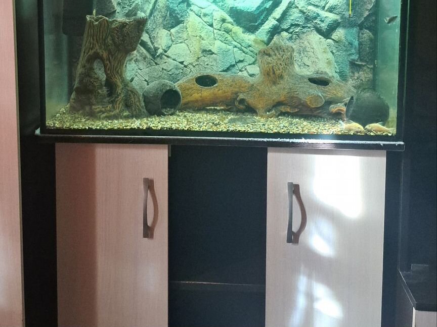 Аквариум с тумбой с рыбами