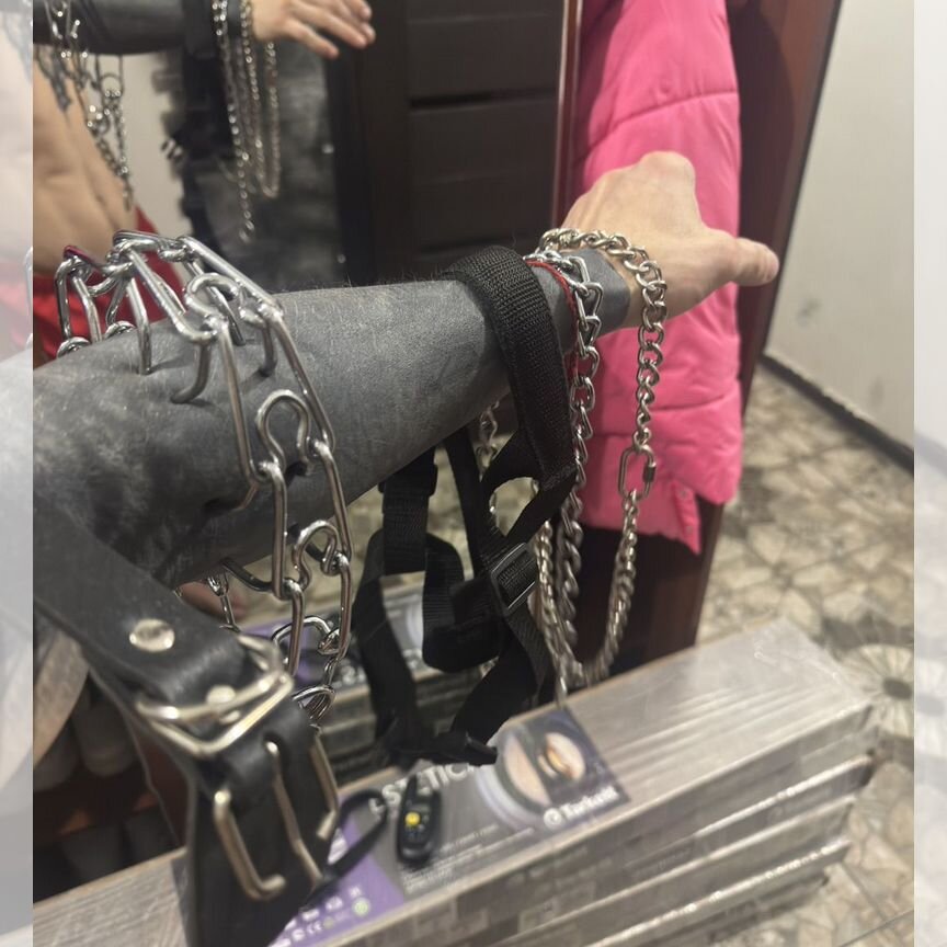 Строгий ошейник, уздечка, 2удавки