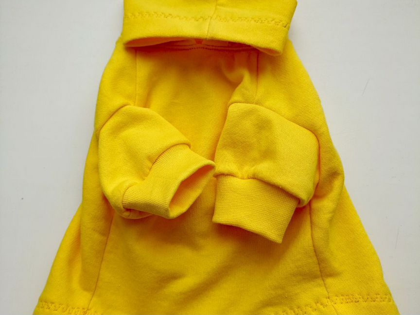 Одежда для животных