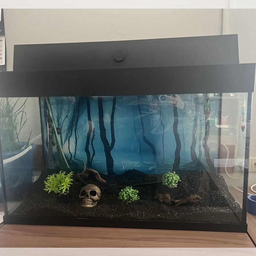 Аквариум со всеми аксессуарами