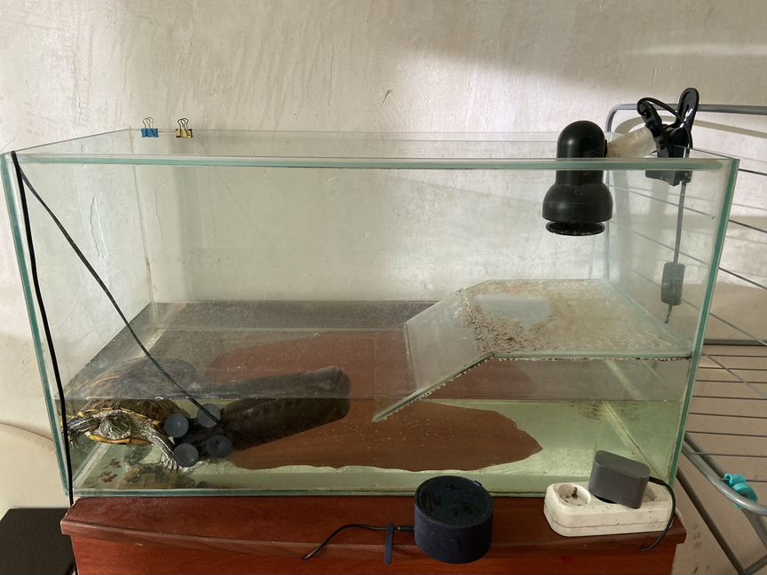 Аквариум на 150 литров