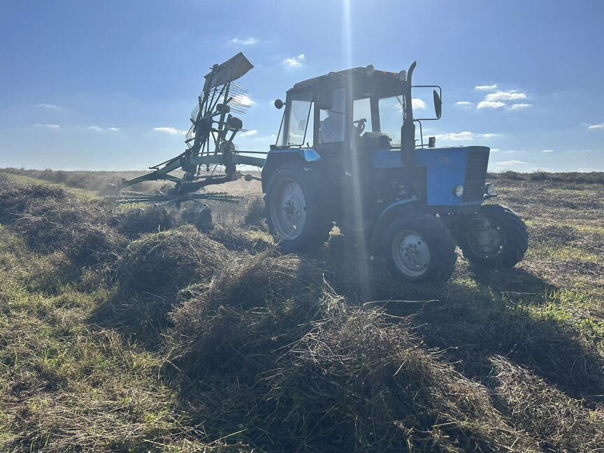 Сено клевер 2023