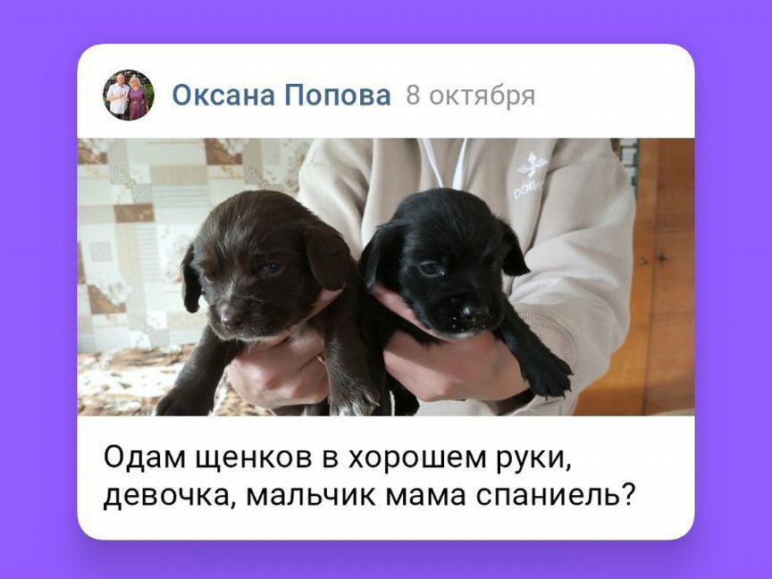 Клубная карта